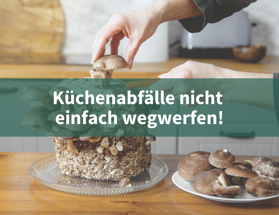 Kreislaufprodukte und Kreislaufwirtschaft - Was ist das? | Eco-Logisch